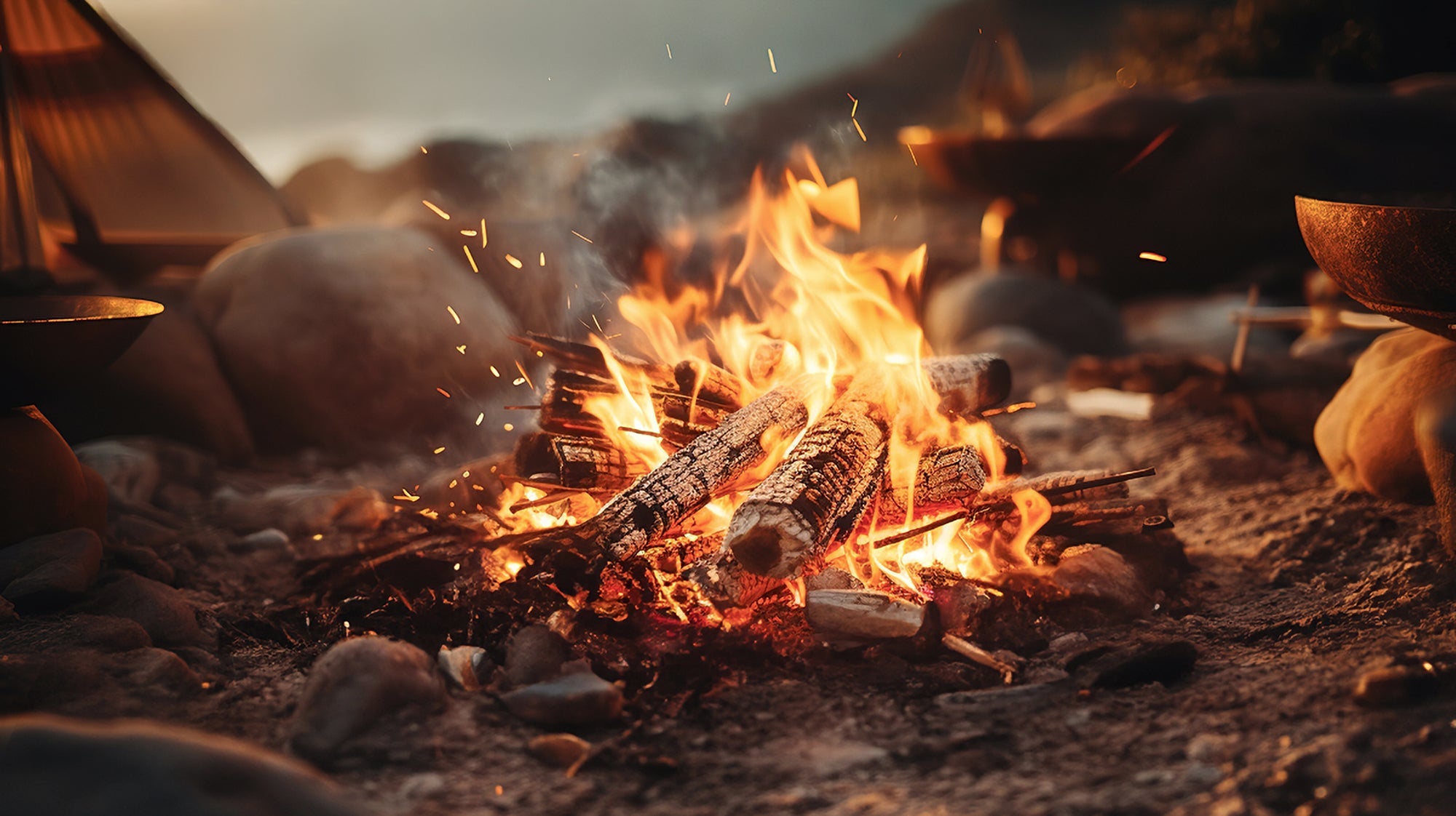 SHOP – PROCAMPTEK INC.