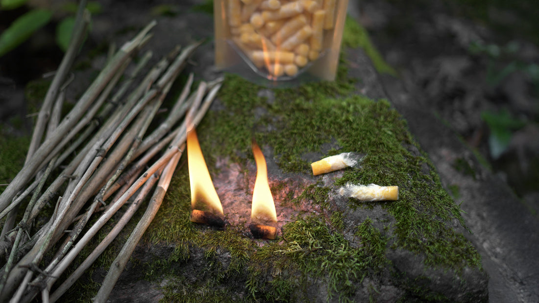 PROCAMPTEK – PROCAMPTEK INC.